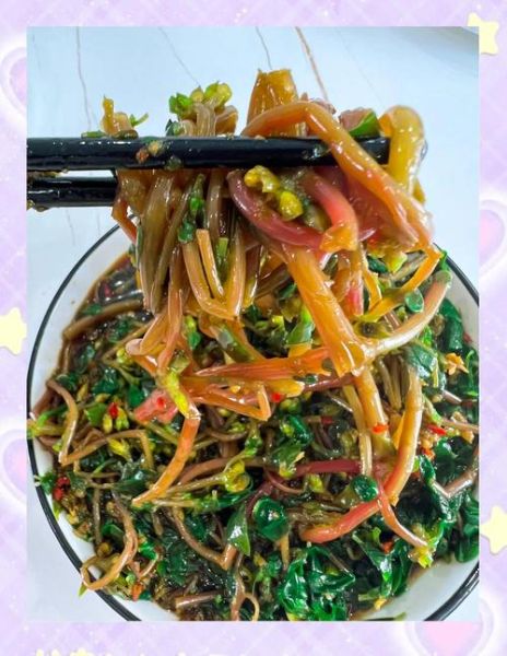 马齿苋怎么做好吃_马齿苋的吃法大全-第2张图片-山城妙识 马齿苋怎么做好吃_马齿苋的吃法大全-第2张图片-山城妙识