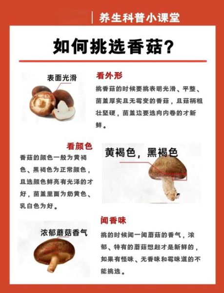 香菇多糖的功效与作用_香菇多糖能提高免疫力吗-第2张图片-山城妙识 香菇多糖的功效与作用_香菇多糖能提高免疫力吗-第2张图片-山城妙识