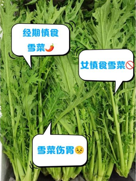 雪菜禁忌人群有哪些_哪些人不能吃雪菜-第2张图片-山城妙识