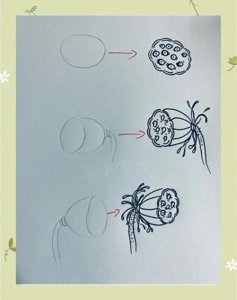 莲蓬简笔画怎么画_莲蓬简笔画步骤图-第1张图片-山城妙识 莲蓬简笔画怎么画_莲蓬简笔画步骤图-第1张图片-山城妙识