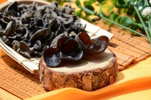 隔夜木耳吃死人是真的吗_中毒真相揭秘-第1张图片-山城妙识 隔夜木耳吃死人是真的吗_中毒真相揭秘-第1张图片-山城妙识