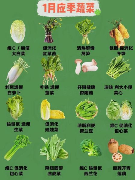 蔬菜图片大全大图有哪些_如何快速识别蔬菜种类-第2张图片-山城妙识 蔬菜图片大全大图有哪些_如何快速识别蔬菜种类-第2张图片-山城妙识