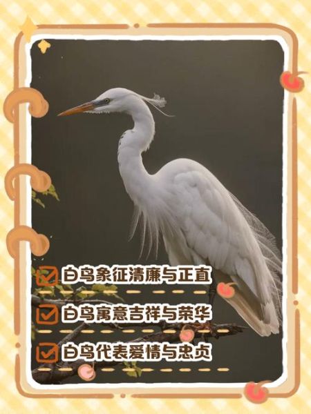 暴风雪中的白鸟_白鸟象征什么-第2张图片-山城妙识 暴风雪中的白鸟_白鸟象征什么-第2张图片-山城妙识