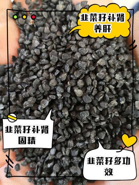 韭菜籽壮阳效果怎么样_韭菜籽禁忌人群有哪些-第3张图片-山城妙识 韭菜籽壮阳效果怎么样_韭菜籽禁忌人群有哪些-第3张图片-山城妙识