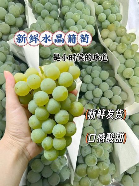 水晶葡萄怎么挑选_水晶葡萄的功效与作用-第3张图片-山城妙识 水晶葡萄怎么挑选_水晶葡萄的功效与作用-第3张图片-山城妙识