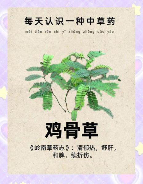 鸡骨草丸的功效与作用_鸡骨草丸能长期服用吗-第2张图片-山城妙识 鸡骨草丸的功效与作用_鸡骨草丸能长期服用吗-第2张图片-山城妙识