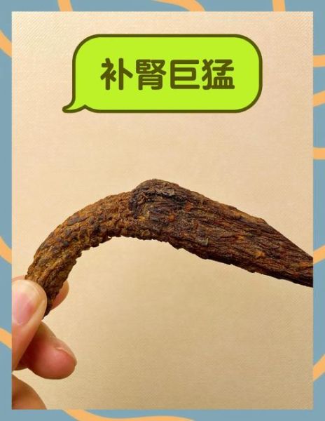 壮阳中药有哪些_如何坚硬如铁-第3张图片-山城妙识 壮阳中药有哪些_如何坚硬如铁-第3张图片-山城妙识