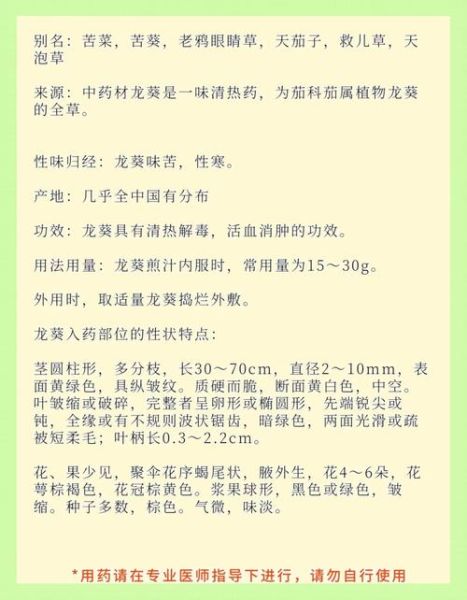 龙葵的功效与作用_龙葵能治什么病-第2张图片-山城妙识 龙葵的功效与作用_龙葵能治什么病-第2张图片-山城妙识