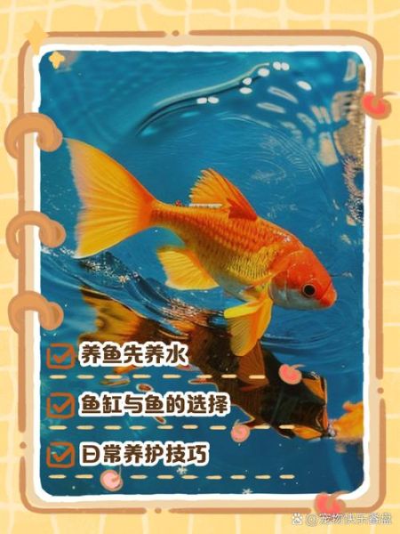 金鱼怎么养_金鱼多久换一次水-第1张图片-山城妙识 金鱼怎么养_金鱼多久换一次水-第1张图片-山城妙识