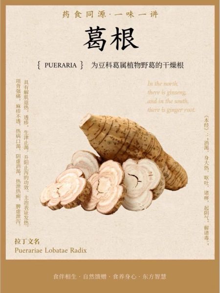 野生葛根粉的功效与作用_怎么吃效果最好-第2张图片-山城妙识 野生葛根粉的功效与作用_怎么吃效果最好-第2张图片-山城妙识