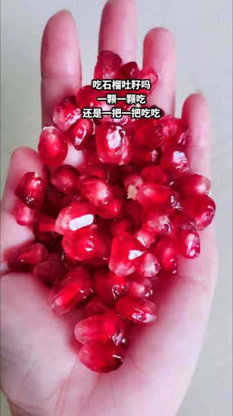 石榴怎么吃_石榴籽能吃吗-第2张图片-山城妙识 石榴怎么吃_石榴籽能吃吗-第2张图片-山城妙识