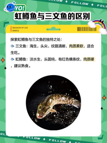 虹鳟鱼怎么吃_虹鳟鱼刺身安全吗-第2张图片-山城妙识 虹鳟鱼怎么吃_虹鳟鱼刺身安全吗-第2张图片-山城妙识