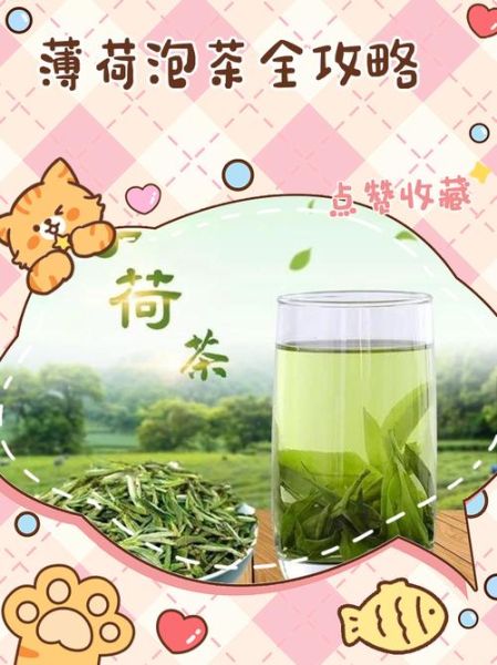 薄荷茶怎么泡_薄荷茶可以天天喝吗-第2张图片-山城妙识 薄荷茶怎么泡_薄荷茶可以天天喝吗-第2张图片-山城妙识