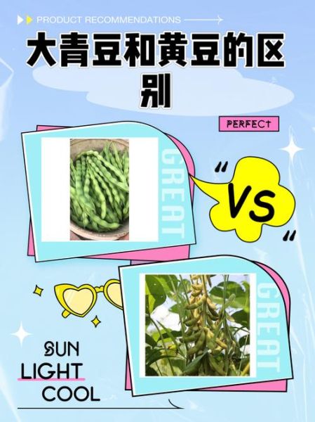 黄豆和青豆哪个蛋白质更高_区别与功效全解析-第1张图片-山城妙识 黄豆和青豆哪个蛋白质更高_区别与功效全解析-第1张图片-山城妙识