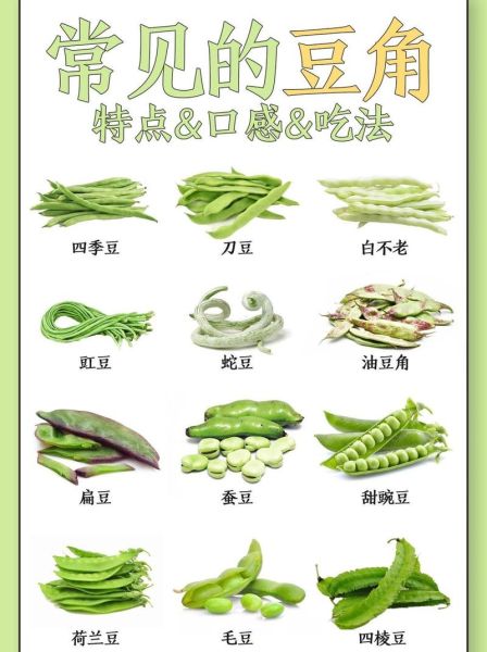 黄豆和青豆哪个蛋白质更高_区别与功效全解析-第3张图片-山城妙识 黄豆和青豆哪个蛋白质更高_区别与功效全解析-第3张图片-山城妙识