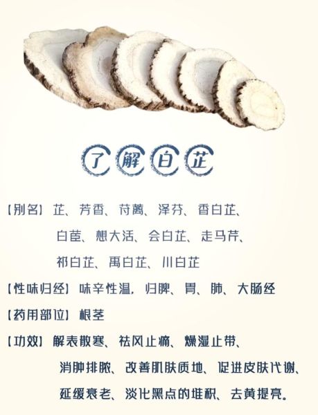白芷为什么被禁止_白芷禁用的真相-第3张图片-山城妙识