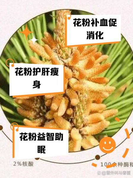 花粉的作用与功效_花粉怎么吃效果最好-第2张图片-山城妙识 花粉的作用与功效_花粉怎么吃效果最好-第2张图片-山城妙识