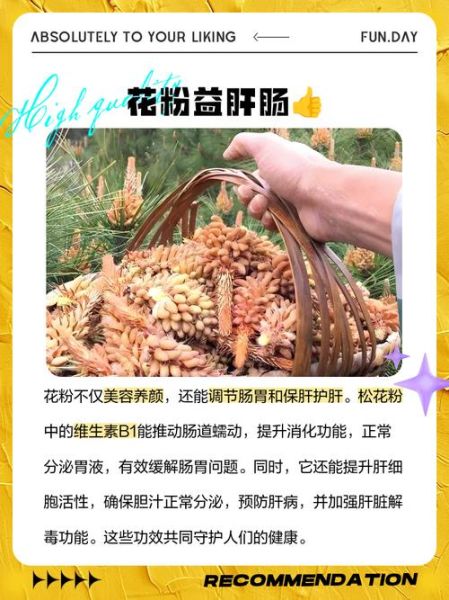 花粉的作用与功效_花粉怎么吃效果最好-第3张图片-山城妙识 花粉的作用与功效_花粉怎么吃效果最好-第3张图片-山城妙识