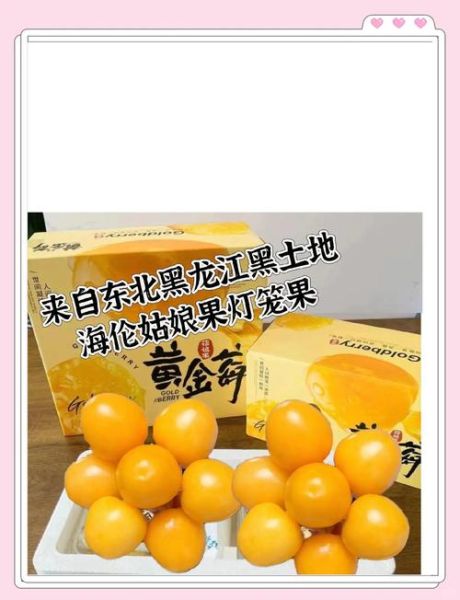 黑龙江特产水果有哪些_黑龙江水果哪里最正宗-第3张图片-山城妙识 黑龙江特产水果有哪些_黑龙江水果哪里最正宗-第3张图片-山城妙识