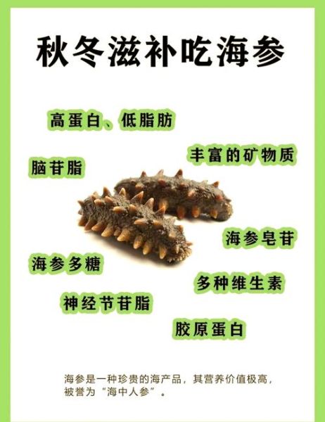 海参的营养价值高吗_海参的功效与作用-第1张图片-山城妙识 海参的营养价值高吗_海参的功效与作用-第1张图片-山城妙识