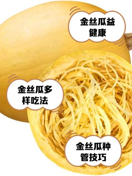金丝瓜的营养价值_金丝瓜怎么吃最营养-第1张图片-山城妙识