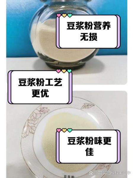 豆浆粉和现磨豆浆哪个好_营养差异有多大-第2张图片-山城妙识