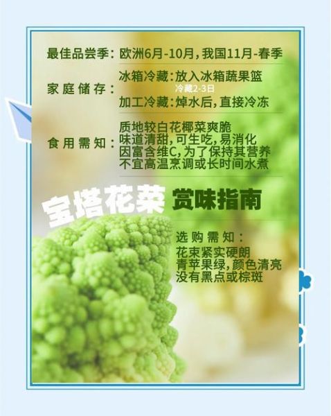 花菜英文怎么说_花菜英文怎么写-第3张图片-山城妙识 花菜英文怎么说_花菜英文怎么写-第3张图片-山城妙识