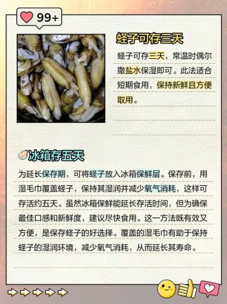 蛏子怎么保存_蛏子能放冰箱多久-第2张图片-山城妙识