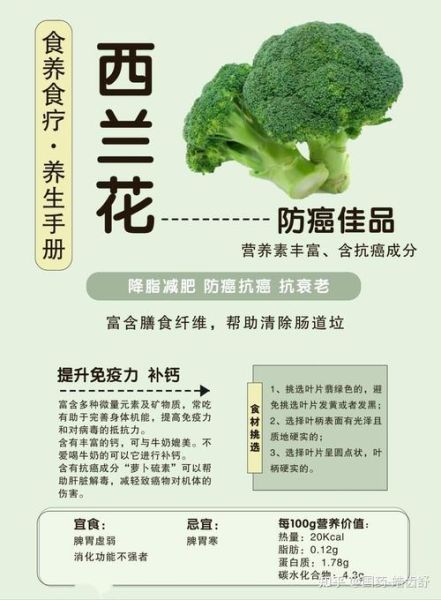 西兰花可以减肥吗_西兰花有什么营养价值-第1张图片-山城妙识 西兰花可以减肥吗_西兰花有什么营养价值-第1张图片-山城妙识