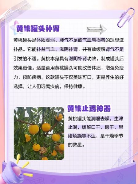 黄桃罐头危害健康吗_长期吃有哪些风险-第1张图片-山城妙识 黄桃罐头危害健康吗_长期吃有哪些风险-第1张图片-山城妙识