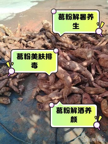 葛粉的功效与作用_葛粉的副作用有哪些-第1张图片-山城妙识 葛粉的功效与作用_葛粉的副作用有哪些-第1张图片-山城妙识