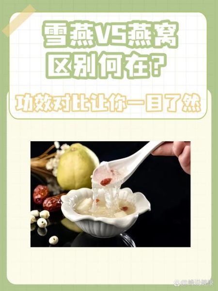 雪燕和燕窝的区别_哪个更好-第2张图片-山城妙识 雪燕和燕窝的区别_哪个更好-第2张图片-山城妙识
