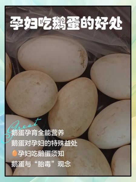 鹅蛋的药用价值与吃法_孕妇能吃鹅蛋吗-第2张图片-山城妙识 鹅蛋的药用价值与吃法_孕妇能吃鹅蛋吗-第2张图片-山城妙识