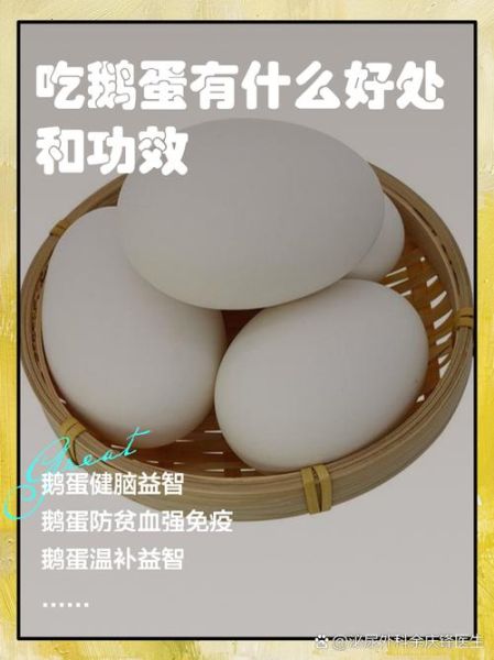 鹅蛋的药用价值与吃法_孕妇能吃鹅蛋吗-第1张图片-山城妙识 鹅蛋的药用价值与吃法_孕妇能吃鹅蛋吗-第1张图片-山城妙识