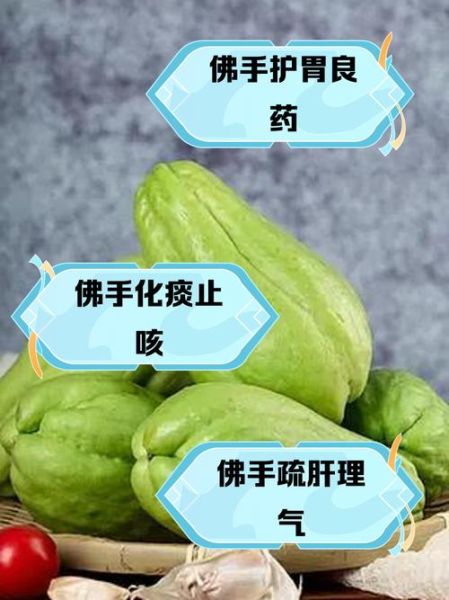 佛手瓜的害处有哪些_佛手瓜吃多了有什么副作用-第1张图片-山城妙识 佛手瓜的害处有哪些_佛手瓜吃多了有什么副作用-第1张图片-山城妙识