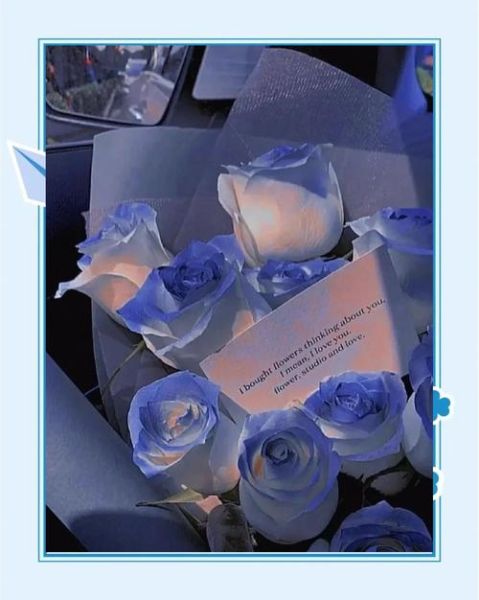 蓝玫瑰代表什么_蓝玫瑰图片怎么拍好看-第2张图片-山城妙识 蓝玫瑰代表什么_蓝玫瑰图片怎么拍好看-第2张图片-山城妙识
