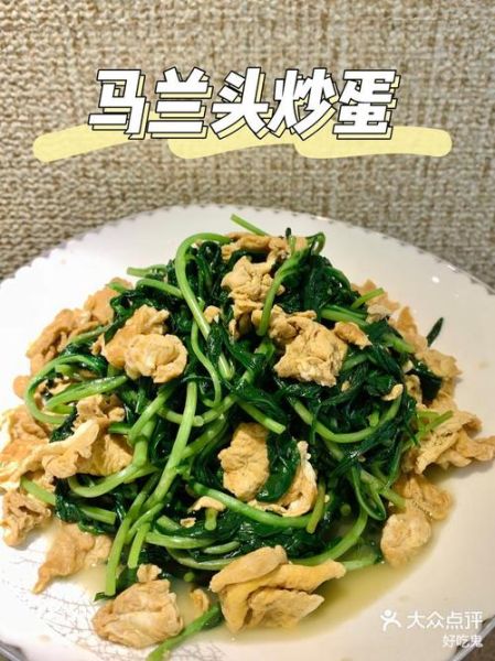 马兰头怎么做好吃_马兰头凉拌做法大全-第1张图片-山城妙识 马兰头怎么做好吃_马兰头凉拌做法大全-第1张图片-山城妙识