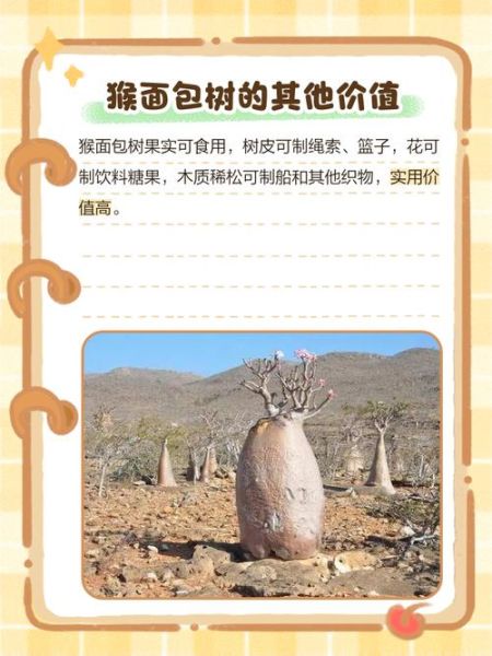 面包树果实怎么吃_面包树果实营养价值-第3张图片-山城妙识 面包树果实怎么吃_面包树果实营养价值-第3张图片-山城妙识