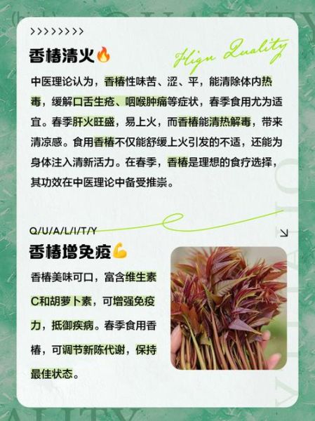 香椿的功效与作用及副作用_孕妇能吃吗-第1张图片-山城妙识 香椿的功效与作用及副作用_孕妇能吃吗-第1张图片-山城妙识