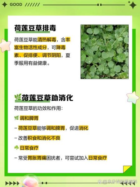 荷包豆的功效与作用_荷包豆怎么吃最养肾-第1张图片-山城妙识
