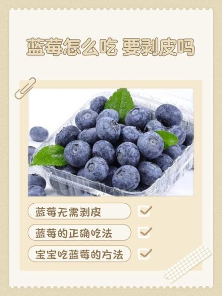 野生蓝莓怎么吃_野生蓝莓的正确吃法-第1张图片-山城妙识 野生蓝莓怎么吃_野生蓝莓的正确吃法-第1张图片-山城妙识