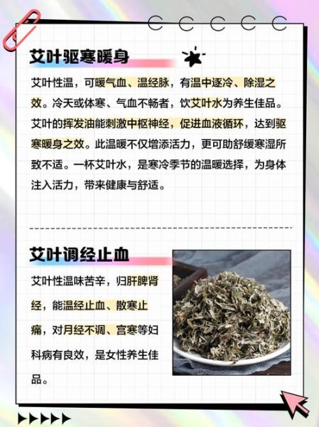 喝艾叶水能减肥吗_艾叶水减肥原理-第2张图片-山城妙识 喝艾叶水能减肥吗_艾叶水减肥原理-第2张图片-山城妙识