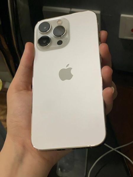 十三香苹果手机值得买吗_十三香苹果手机多少钱-第2张图片-山城妙识 十三香苹果手机值得买吗_十三香苹果手机多少钱-第2张图片-山城妙识