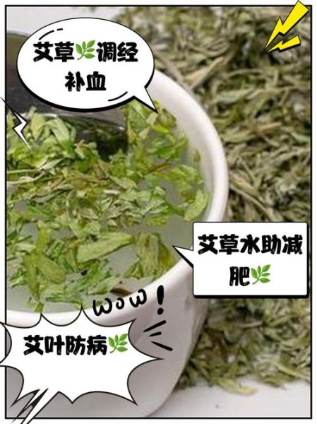 喝艾叶水能减肥吗_艾叶水减肥原理-第3张图片-山城妙识 喝艾叶水能减肥吗_艾叶水减肥原理-第3张图片-山城妙识