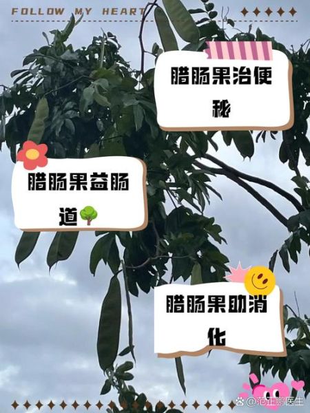 腊肠树果的功效与副作用_能吃吗-第3张图片-山城妙识 腊肠树果的功效与副作用_能吃吗-第3张图片-山城妙识