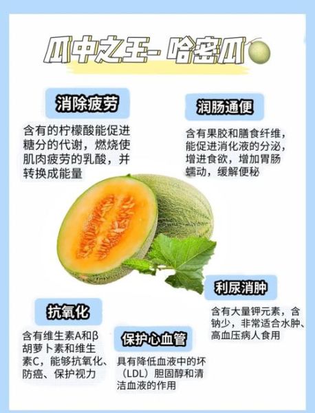 哈密瓜的功效与作用_哈密瓜的营养价值-第2张图片-山城妙识 哈密瓜的功效与作用_哈密瓜的营养价值-第2张图片-山城妙识