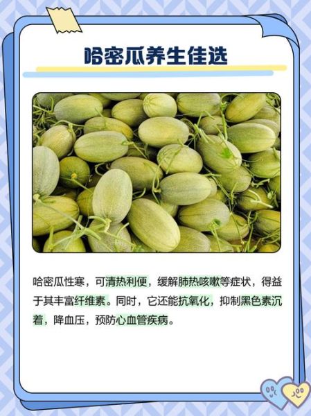 哈密瓜的功效与作用_哈密瓜的营养价值-第1张图片-山城妙识 哈密瓜的功效与作用_哈密瓜的营养价值-第1张图片-山城妙识
