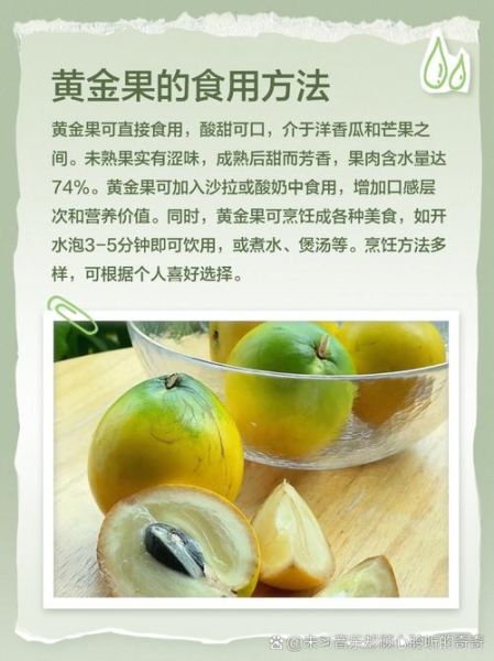 黄金果的功效与作用_黄金果怎么吃效果最好-第1张图片-山城妙识