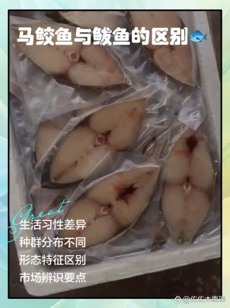 鲭鱼和鲅鱼的区别_怎么一眼分辨-第2张图片-山城妙识