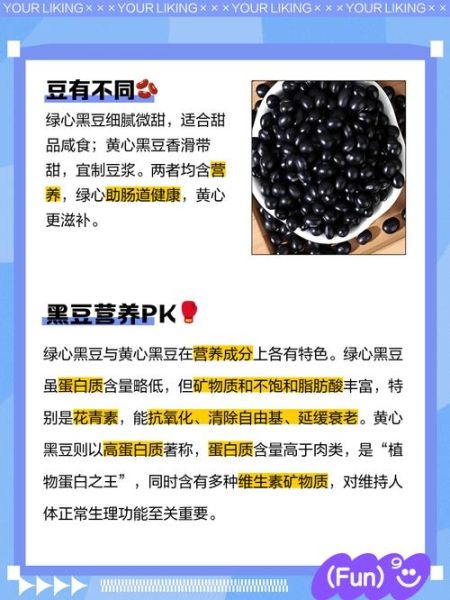 黑豆和黑芸豆是一样的吗_黑豆和黑芸豆区别-第3张图片-山城妙识 黑豆和黑芸豆是一样的吗_黑豆和黑芸豆区别-第3张图片-山城妙识